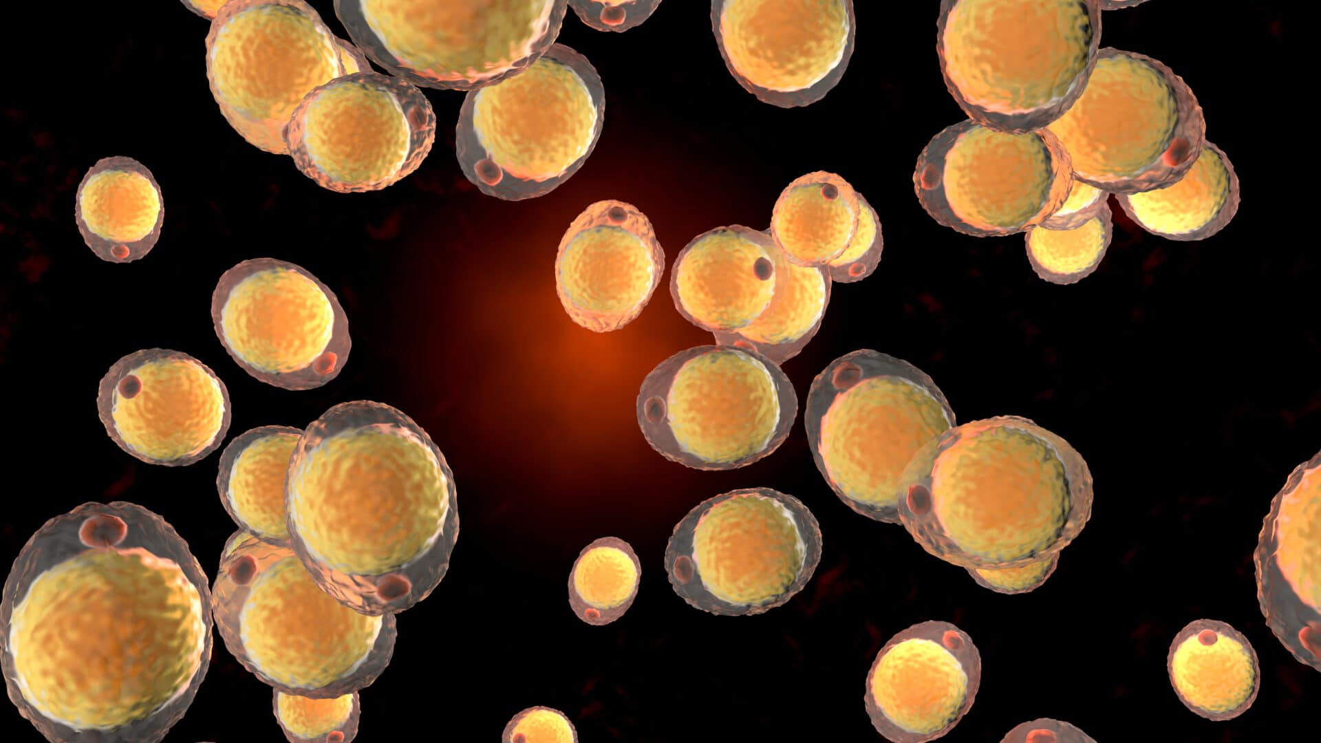 Vitamin Drip For Health - Siam Clinic - Aesthetic & Wellness Clinic in ...